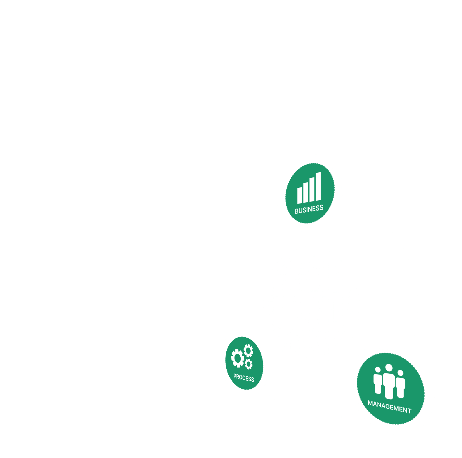 BPM Software Development | CleverDev Software